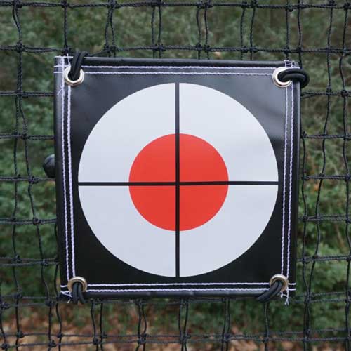 Precision Target - U Go Pro Baseball