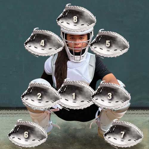 Pro Command Softball Pitching Target - U Go Pro Baseball